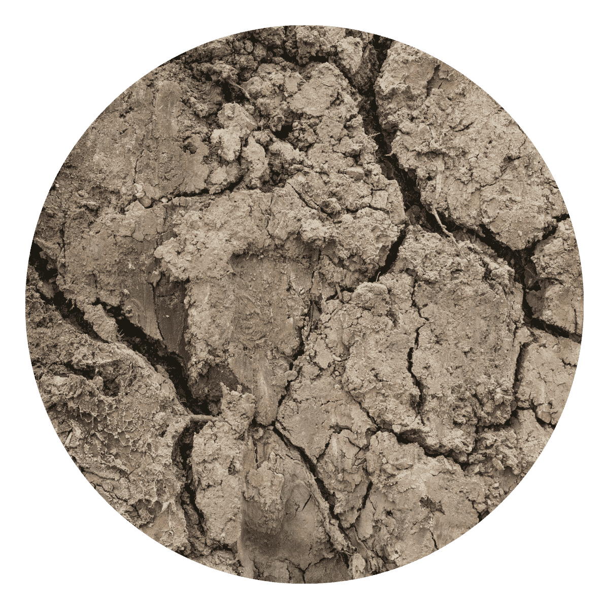 Provtagning av massor hos Kits Recycling